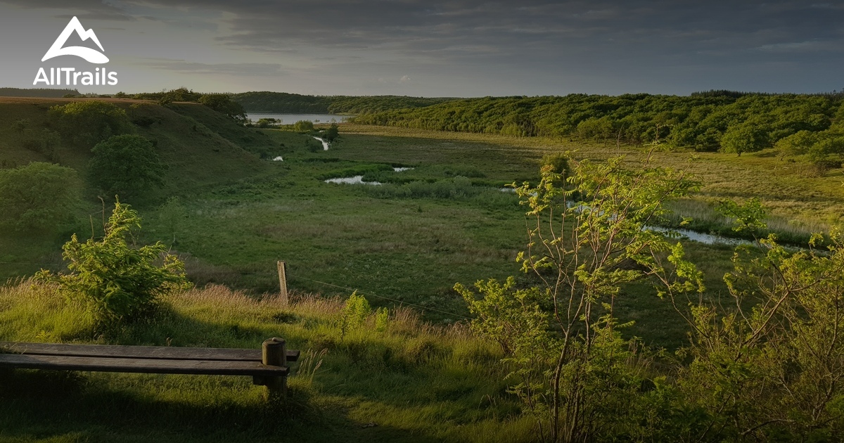 Best trails in Vinderup, Central Denmark | AllTrails