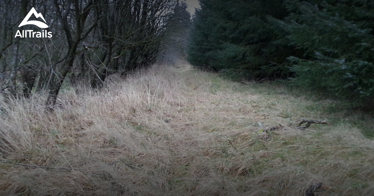 Best city walk trails in Aars | AllTrails