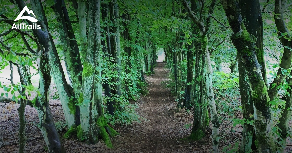 10 Best trails and hikes in Ålbæk | AllTrails