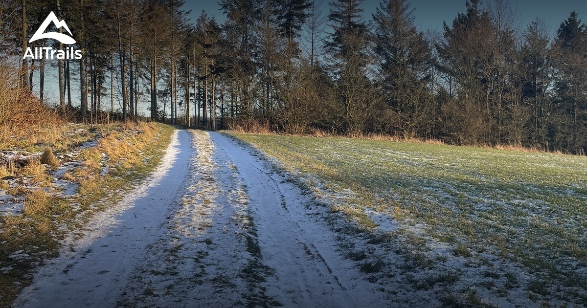 Best forest trails in Astrup | AllTrails