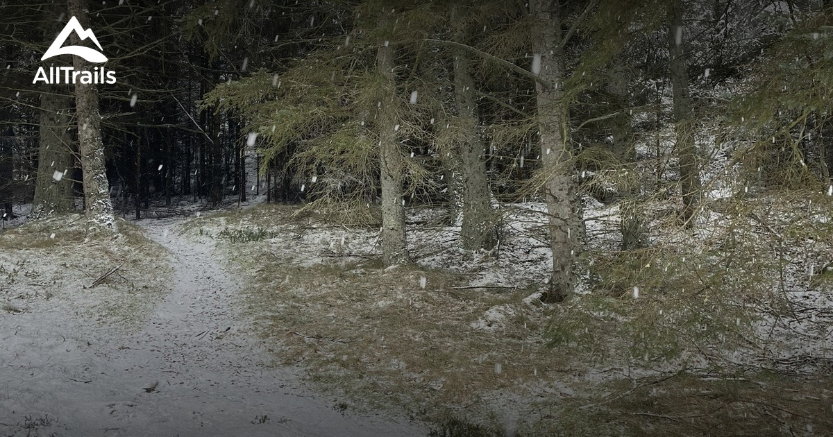 10 Best beach trails in Blokhus | AllTrails