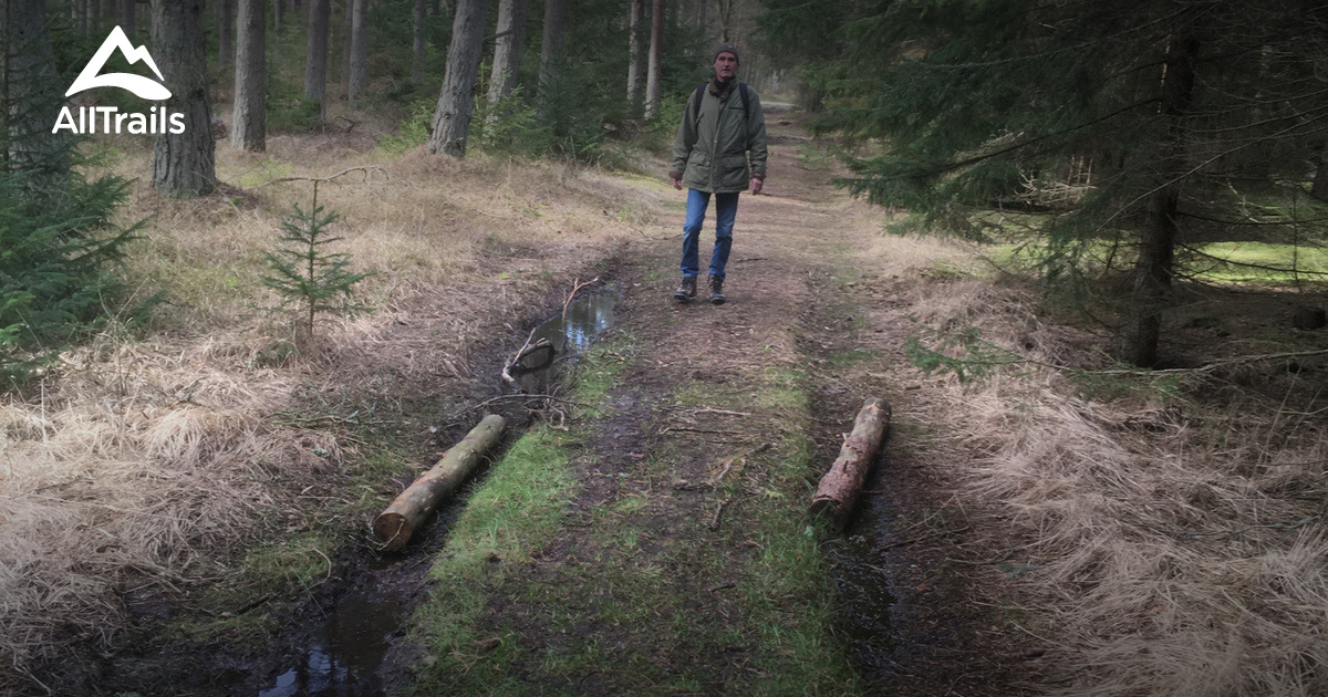 10 Best trails and hikes in Læsø | AllTrails