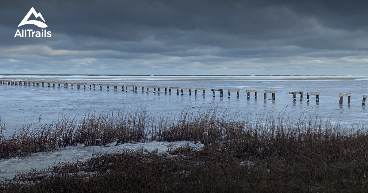 Best forest trails in Øster Hurup | AllTrails