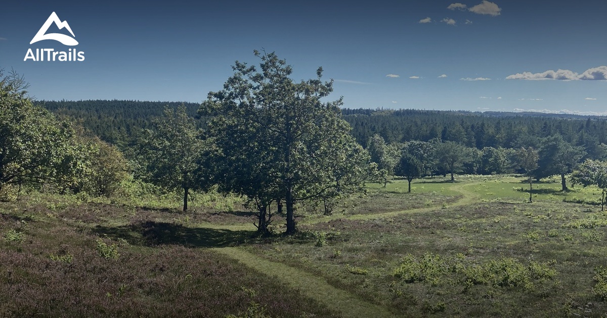 Best camping trails in Ranum | AllTrails