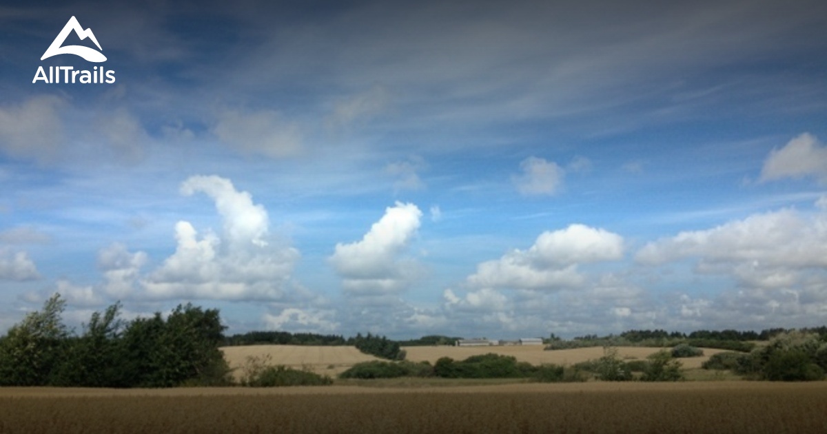 10 bedste ruter og vandreture i Saltum | AllTrails