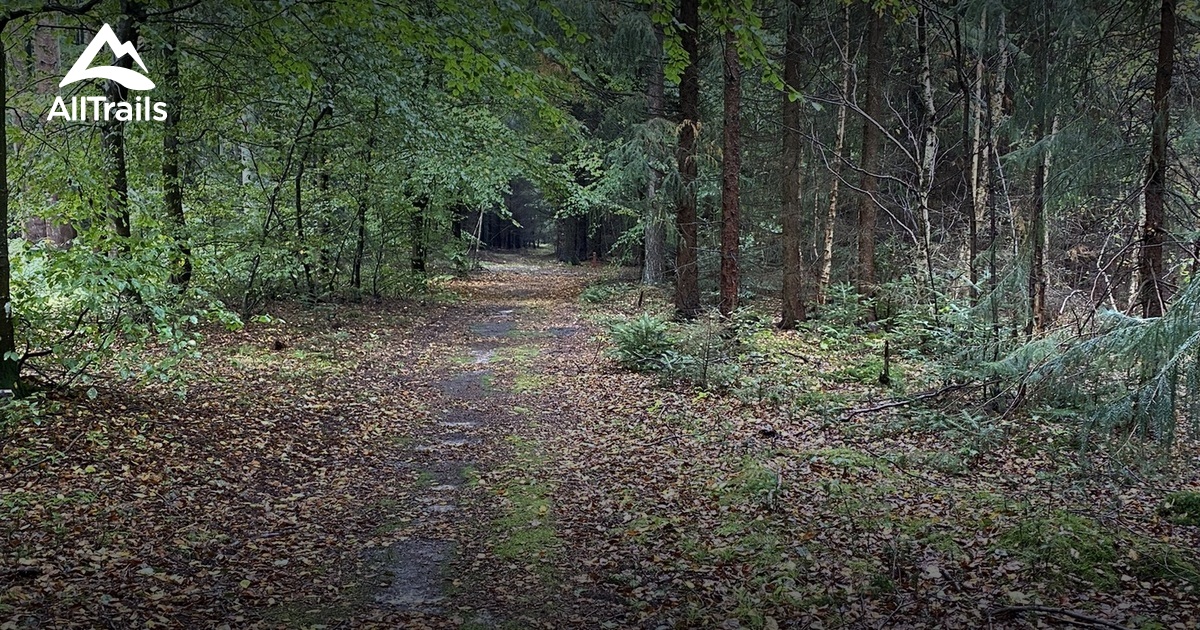 Best moderate trails in Skinnerup | AllTrails