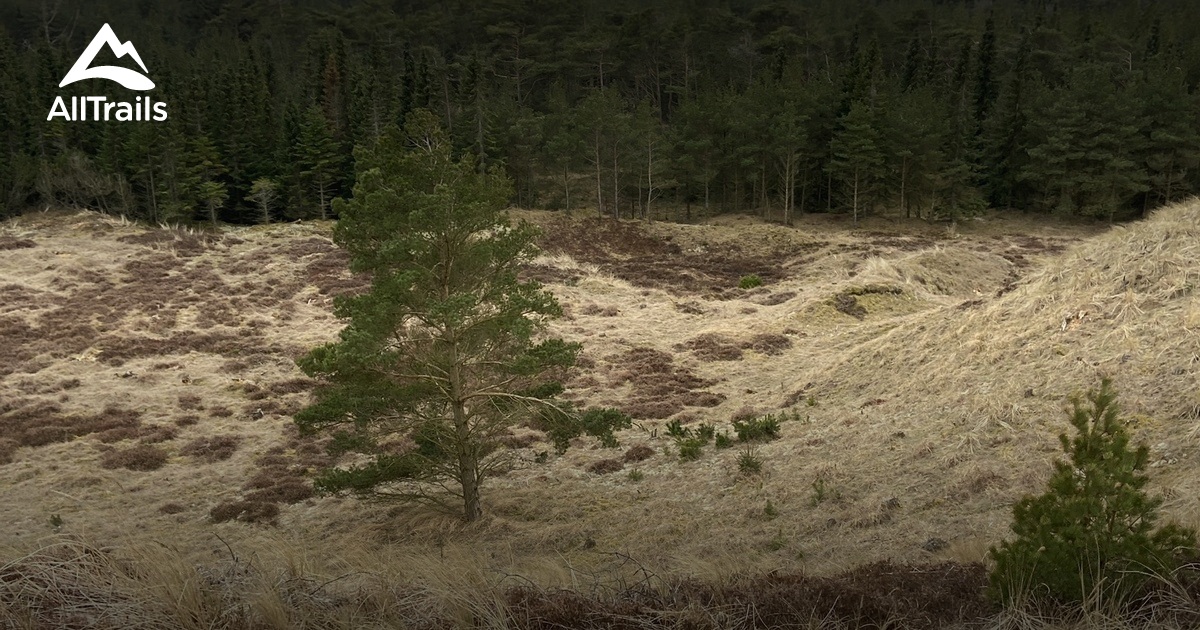 Best historic site trails in Thorup Strand | AllTrails