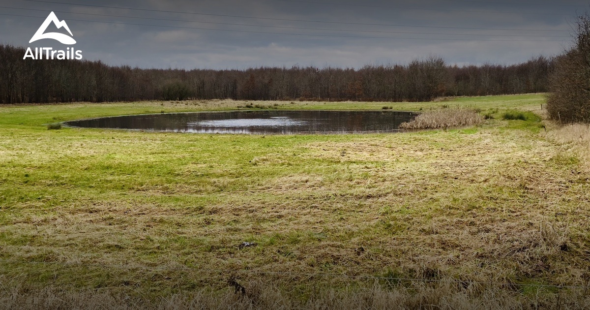 10 Best Trails, Walks, and Paths in Bogense | AllTrails