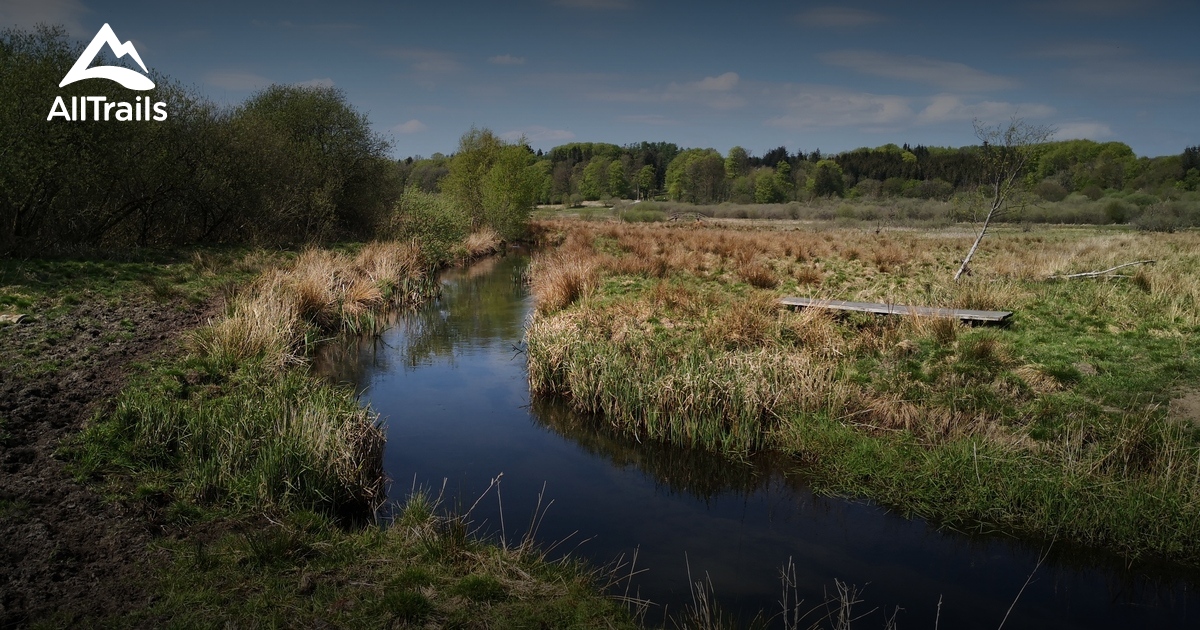 Best bike touring trails in Jelling | AllTrails