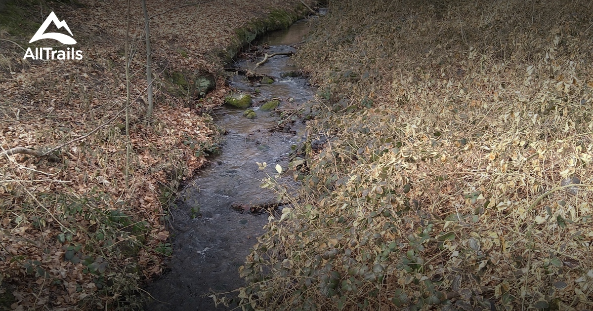 Best hikes and trails in Kollund | AllTrails