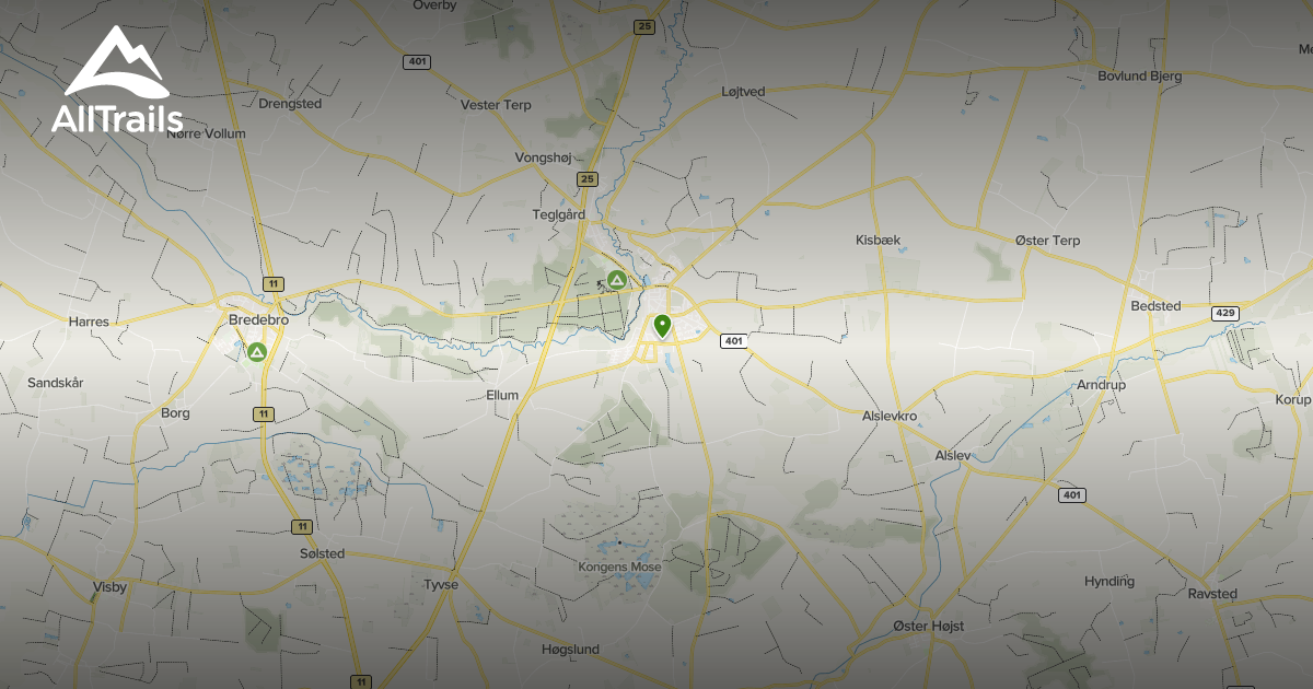 Løgumkloster: as melhores trilhas com flores silvestres | AllTrails