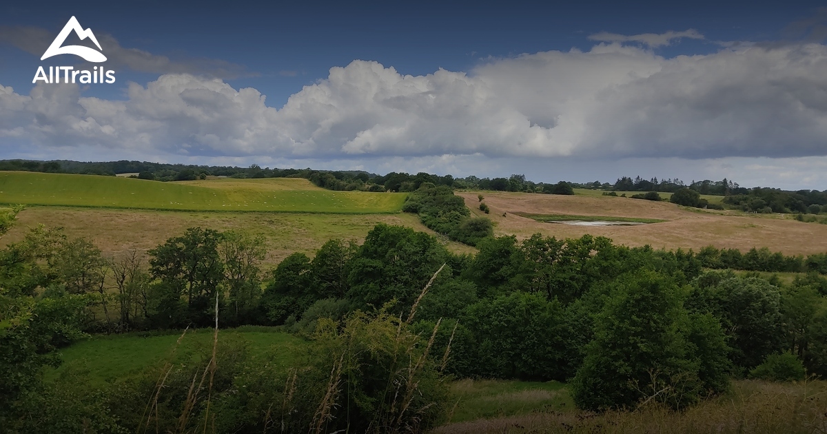 Bedste vandreture og ruter i Lunderskov | AllTrails
