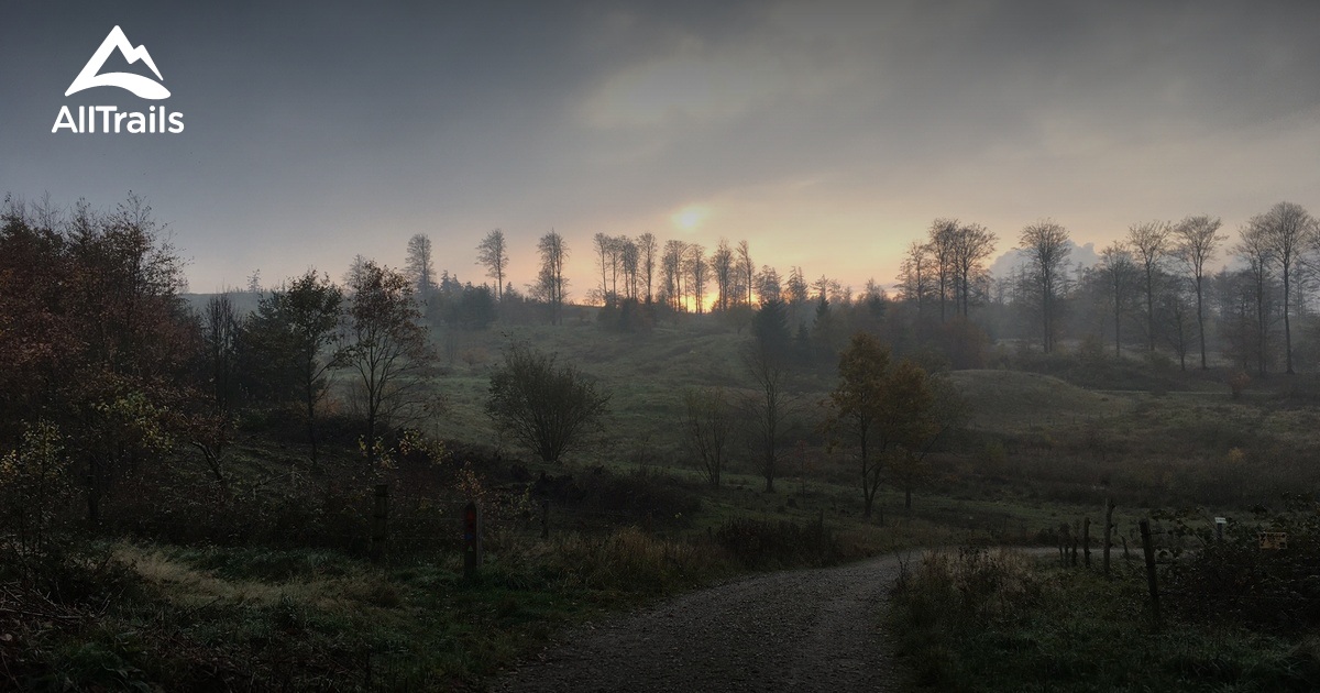 Best camping trails in Millinge | AllTrails