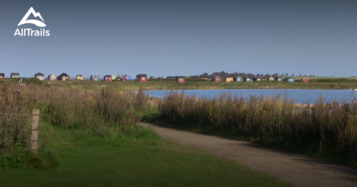 Best wildflower trails in Søby | AllTrails