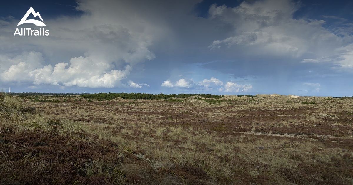 Best long trails in Sønderho | AllTrails