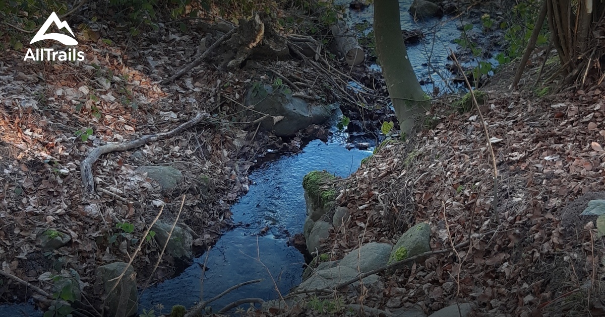 Best short trails in Svenstrup | AllTrails