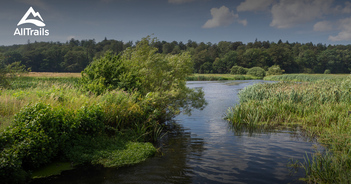 Best camping trails in Vojens | AllTrails