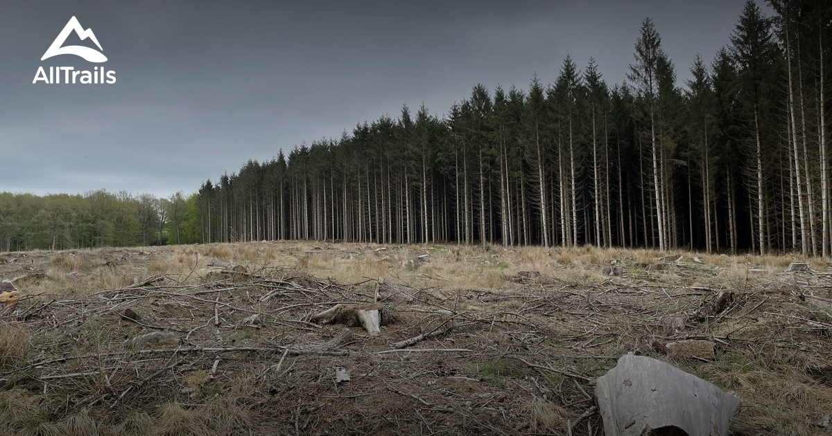 Bedste vandreture og ruter i Borup | AllTrails