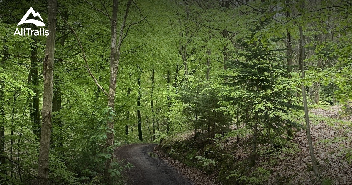 Best camping trails in Ejby | AllTrails