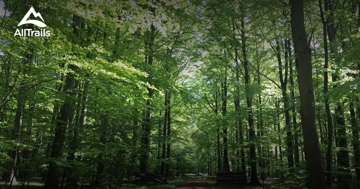 Best hikes and trails in Fuglebjerg | AllTrails