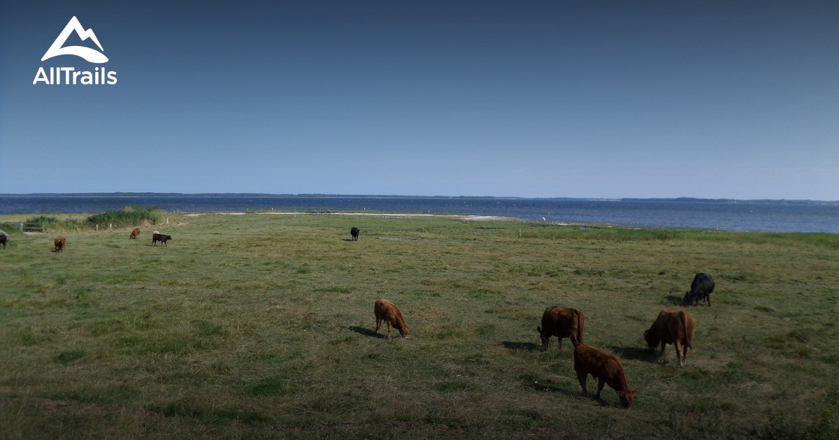 10 Best trails and hikes in Præstø | AllTrails