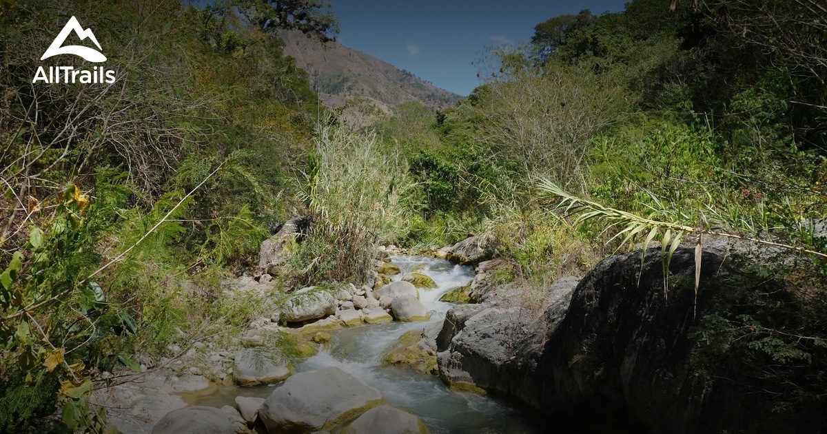 2023 Best Trails, Walks, and Paths in Guayabal | AllTrails
