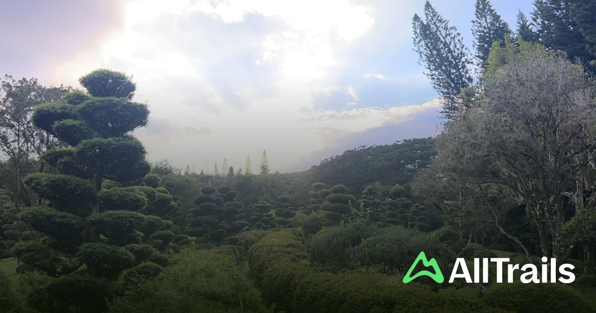 Best walking trails in Santo Domingo | AllTrails