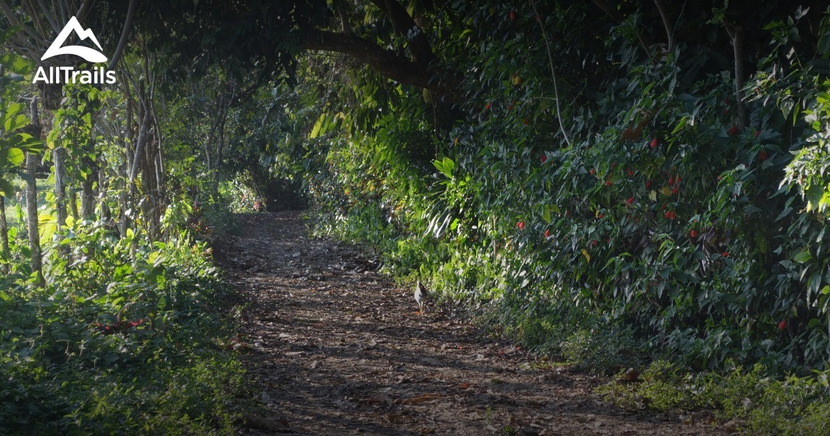 Best hikes and trails in San Francisco de Macorís | AllTrails