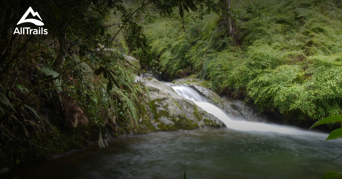 Best hikes and trails in Jarabacoa | AllTrails