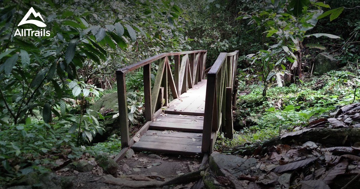 Bonao : les meilleures randonnées et itinéraires | AllTrails