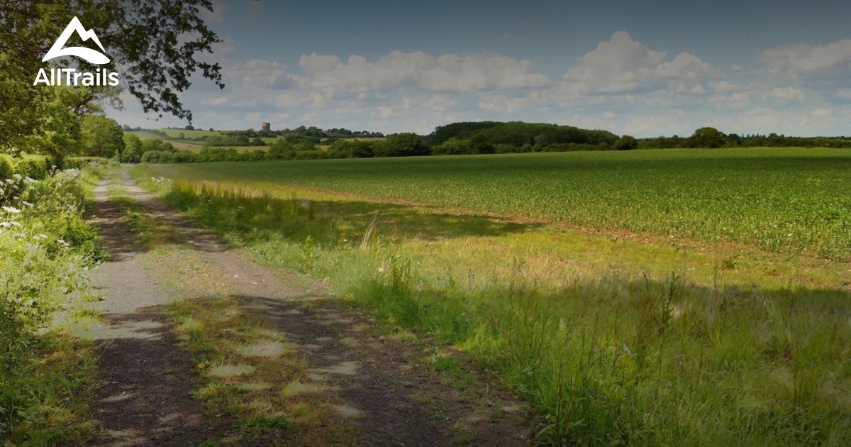 Best forest trails in Ampthill | AllTrails