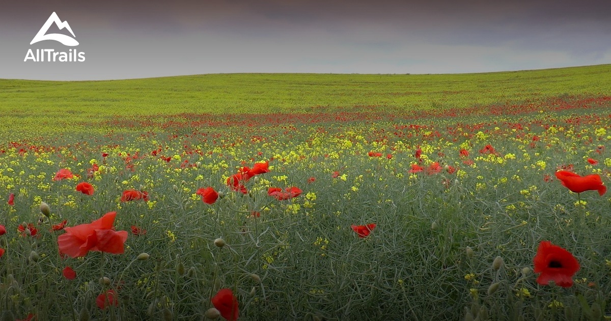 10 Best Trails, Walks, and Paths in Luton | AllTrails