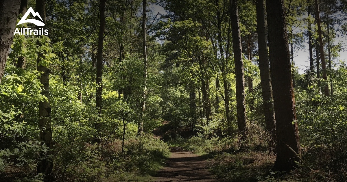 Best hikes and trails in Shefford | AllTrails