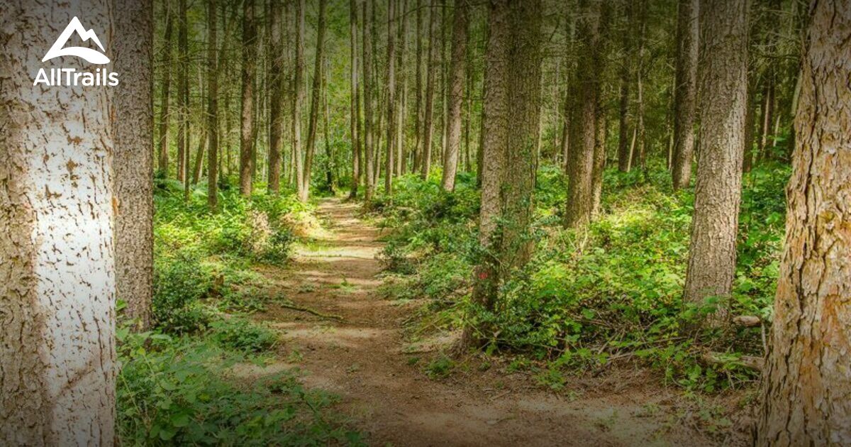 Best hikes and trails in Cold Ash | AllTrails