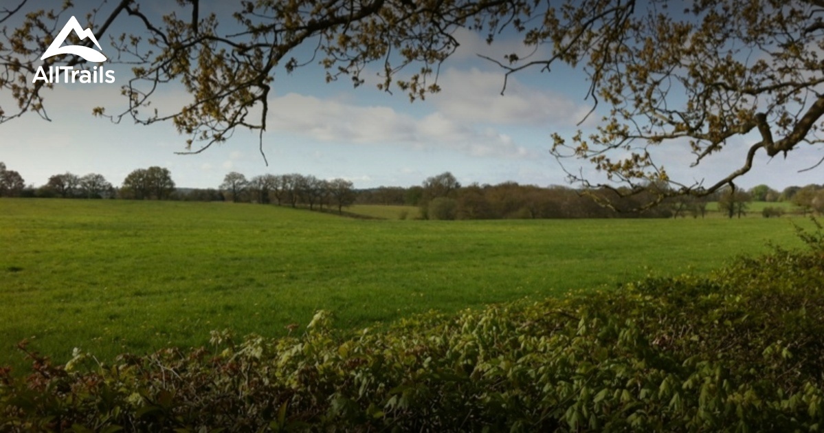 Best hikes and trails in Finchampstead | AllTrails