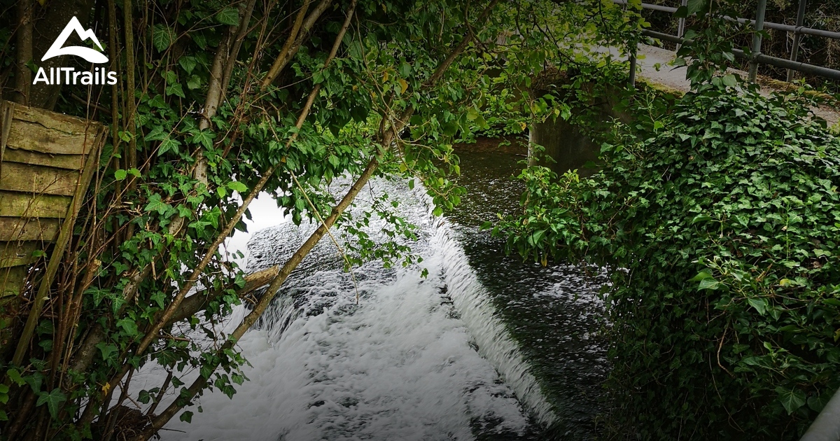 Best hikes and trails in Woolhampton | AllTrails