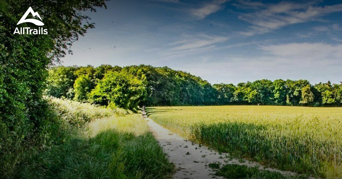 Best Trails, Walks, and Paths in Beaconsfield | AllTrails
