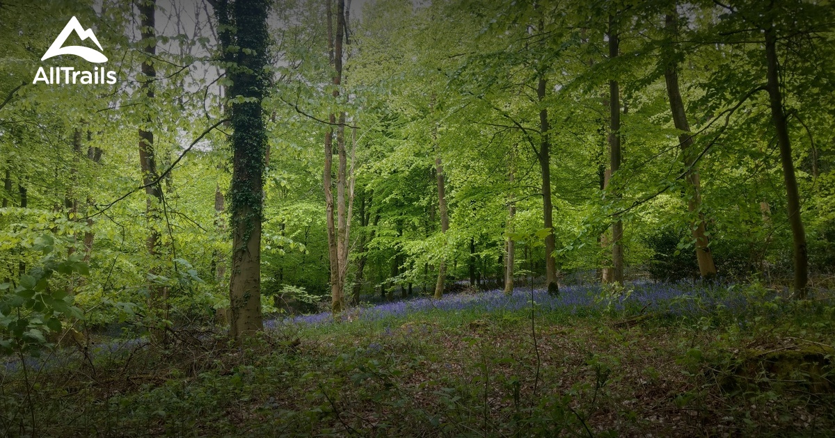 10 Best Trails, Walks, and Paths in Great Missenden | AllTrails
