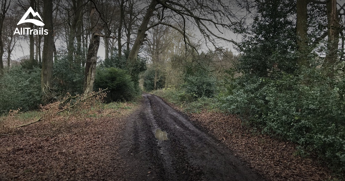 10 Best trails and hikes in High Wycombe | AllTrails