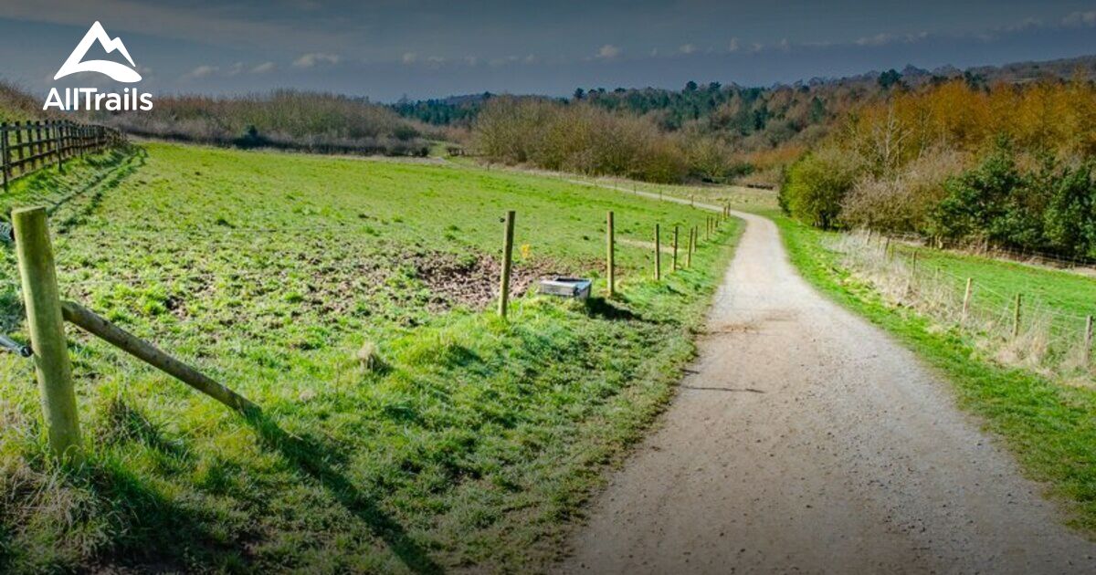 10 Best Trails, Walks, and Paths in Delamere | AllTrails