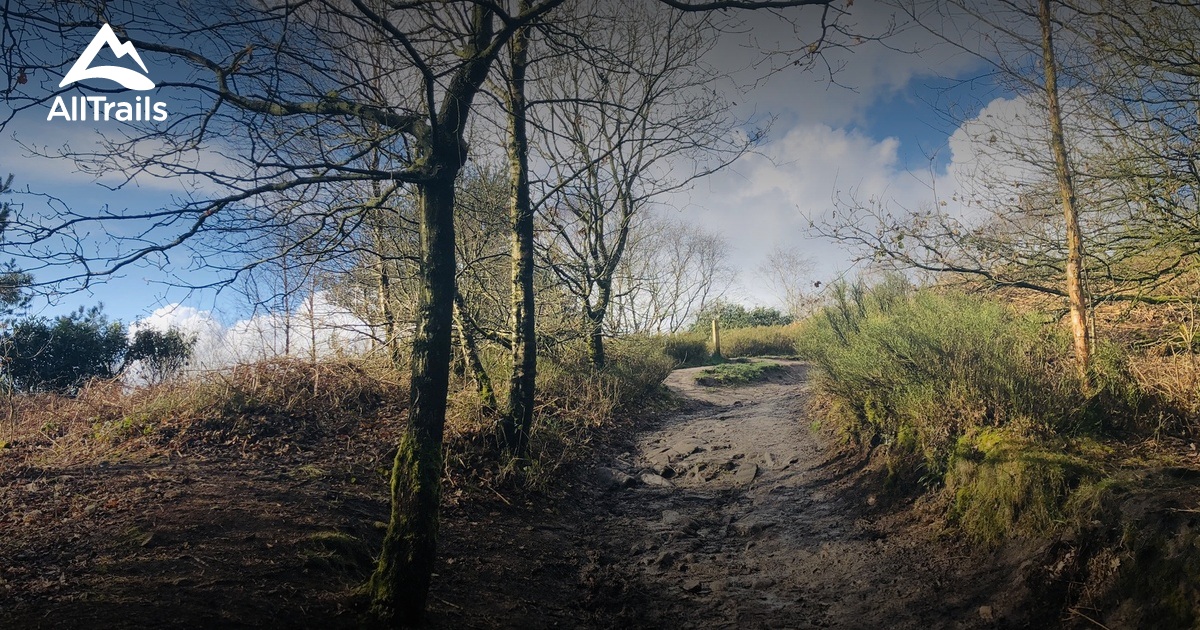 Timbersbrook: Die schönsten Routen zum Wandern | AllTrails