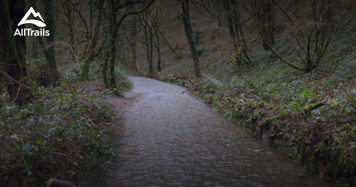 Best Trails, Walks, and Paths in Gunnislake | AllTrails