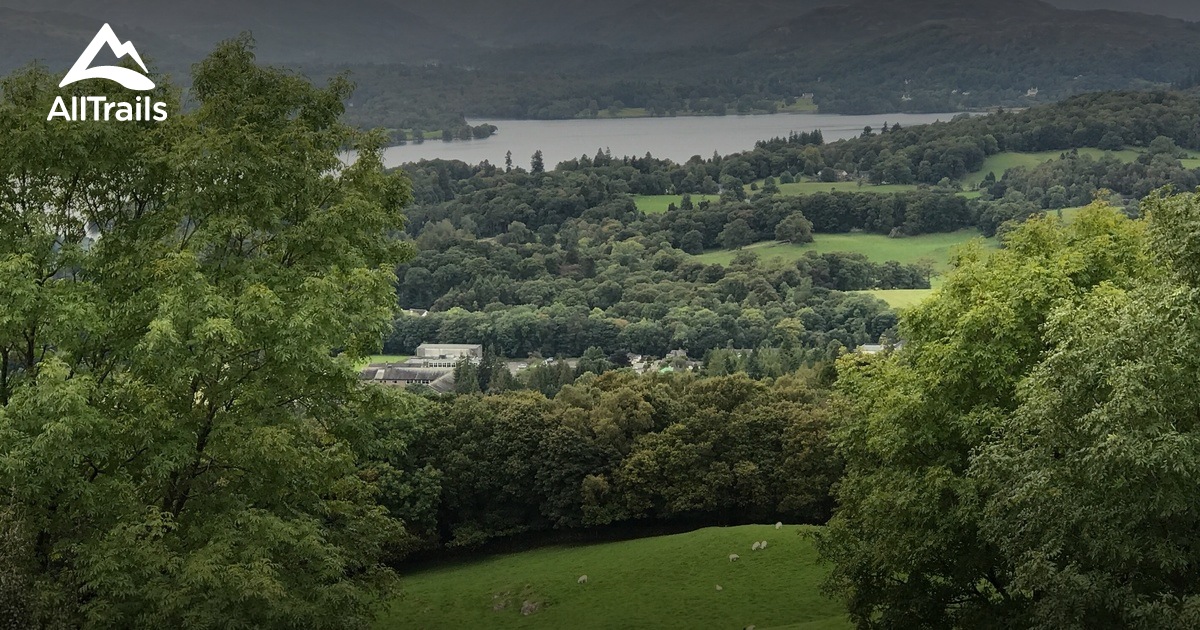 10 Best Trails, Walks, and Paths in Windermere | AllTrails