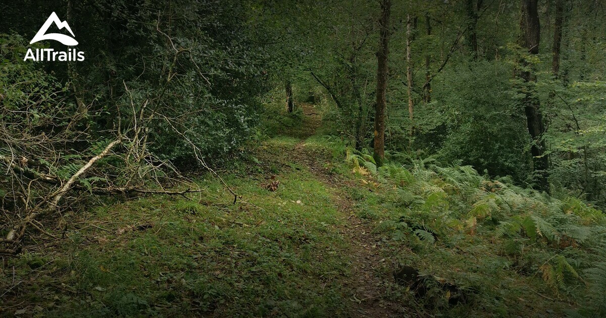 10 Best trails and hikes in Honiton | AllTrails