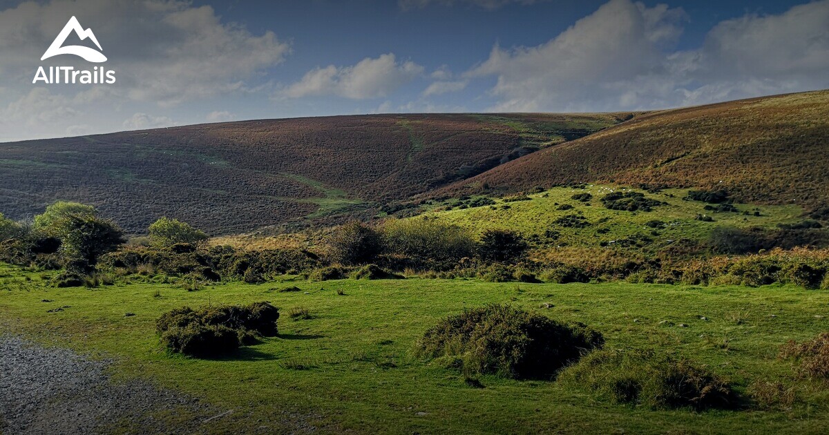 De beste stiene til fosser i South Brent | AllTrails