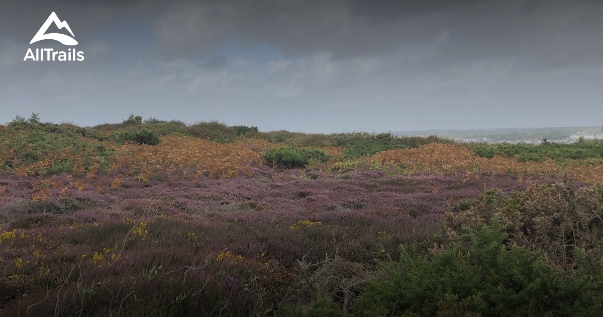 10 Best trails and hikes in Bournemouth | AllTrails