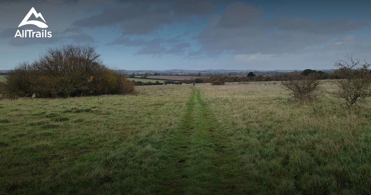 10 Best walking trails in Verwood | AllTrails