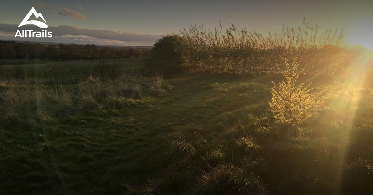 10 Best Trails, Walks, and Paths in Durham | AllTrails