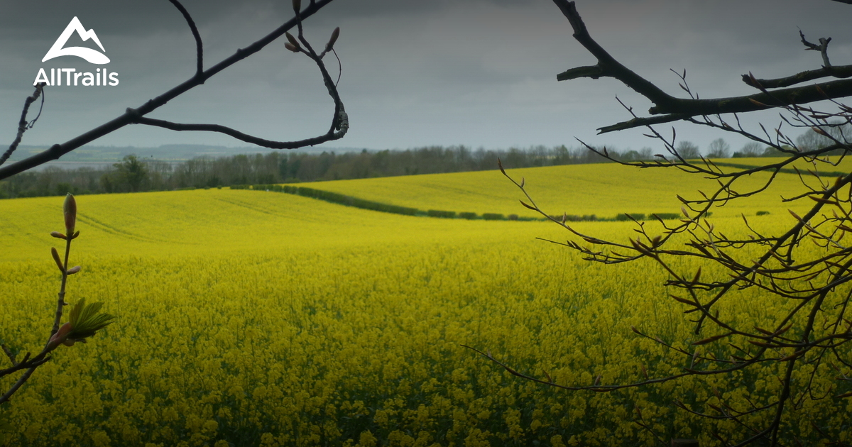 Best hikes and trails in Hessle | AllTrails