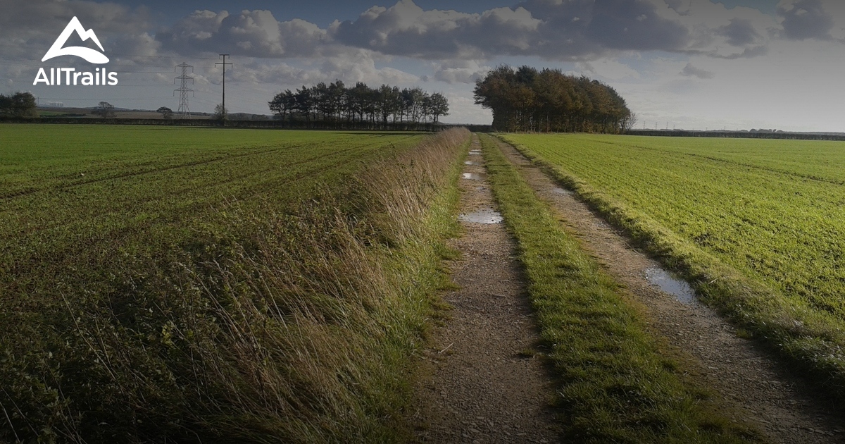 10 Best Trails, Walks, and Paths in Millington | AllTrails